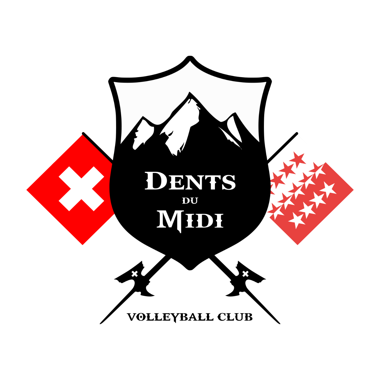 Dents du Midi Volleyball Club · Charte & Statuts